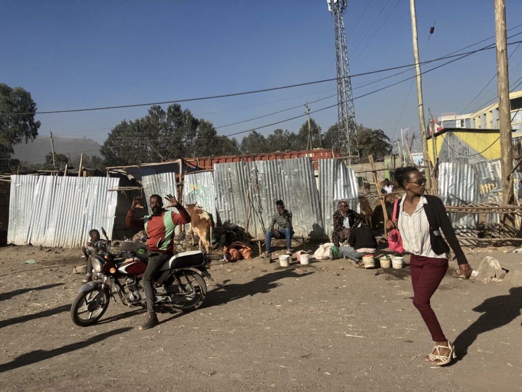 Ethiopia – Current state, issues, and roles | TYPICA Lab