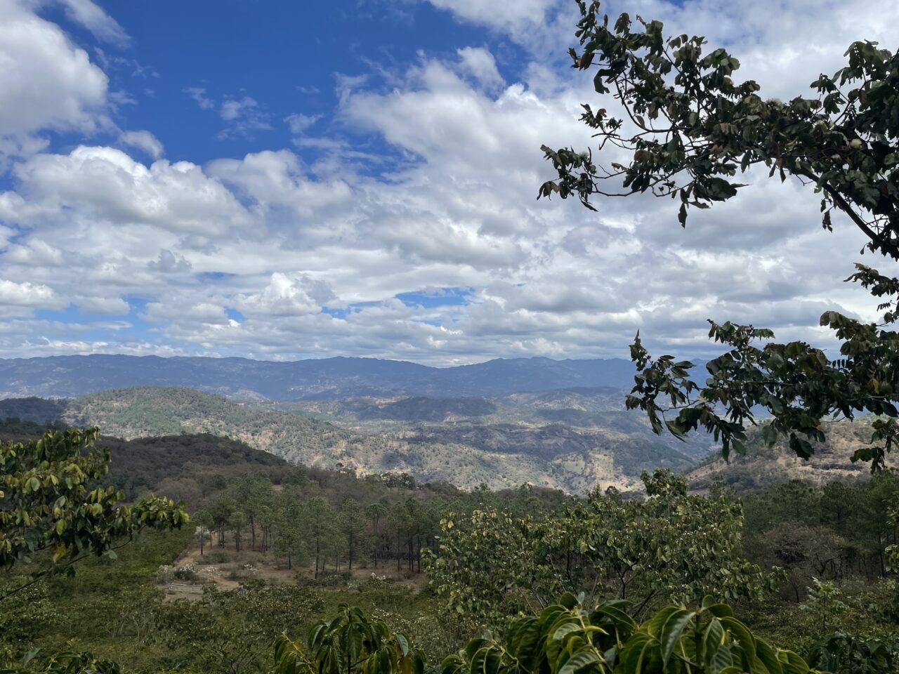 3.21 Antigua→La Colina | TYPICA Lab